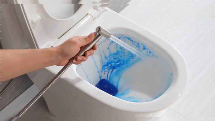 Toilet Bidet Sprayer Complete Set SUS304 Stainless Steel Shower Washer ...