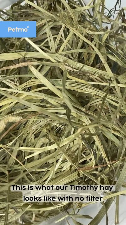 Timothy Hay Second Cut 5kg for Rabbit, Guinea Pig, Chinchilla and Other ...