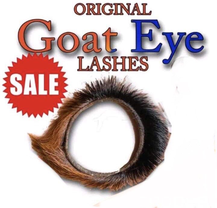 Goat eyelids pilikmata ng kambeng 5 peso size | Lazada PH