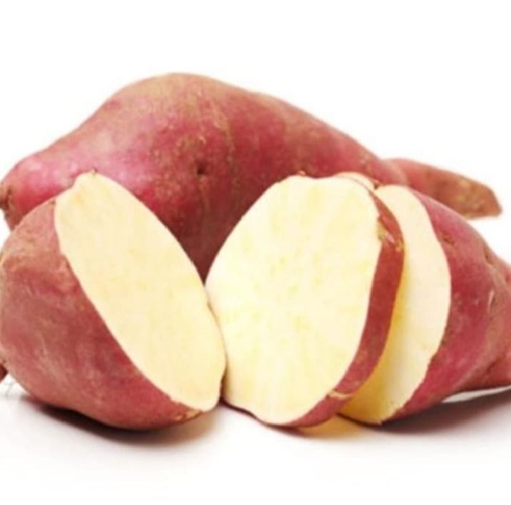 ubi kulit merah danging putih.ubi asli khas Madura. | Lazada Indonesia