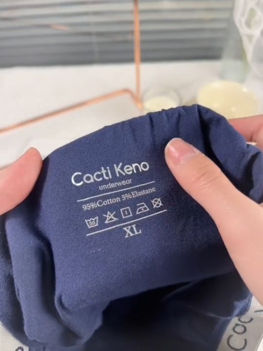 2-4Pcs Cacti Keno Men's Cotton Boxer Brief For Men High Quality ...