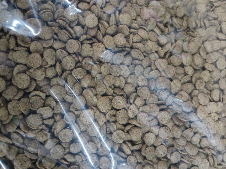 Tuna Flavour Repack Kibbles 1kg Tuna Dog Dry Food Makanan Trial Pack ...