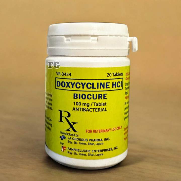 Biocure doxycycline 100mg 20 tablets | Lazada PH