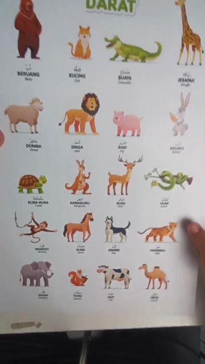 Poster Angka dan Huruf Alphabet Edukasi Anak A3 Jumbo Angka 1-12 Angka ...