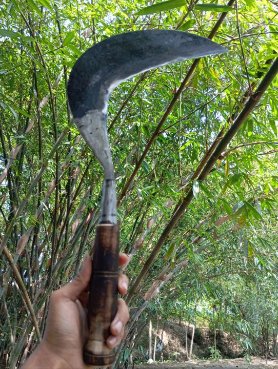 arit rumput wojo isen asli sepuh/arit pangkas rumput | Lazada Indonesia