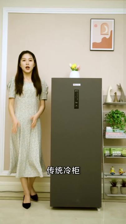 Hisense 159 Liter Home Standing Freezer Frost-Free Breast Milk Freezer ...