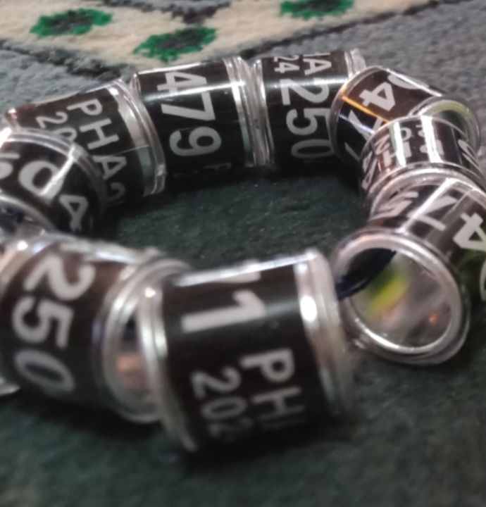 Pigeon Ring 2024 for Pigeon Racing (20 pcs) Black | Lazada PH