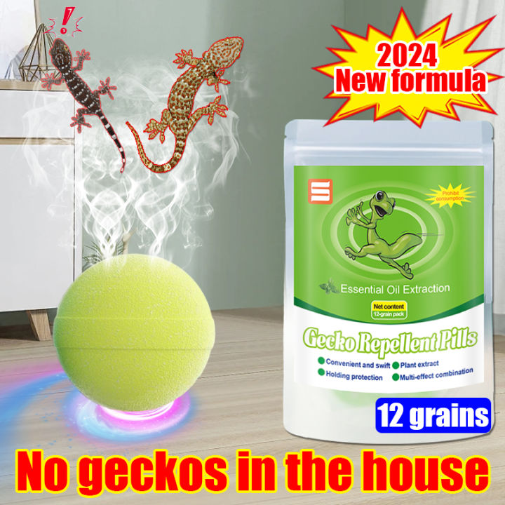 No geckos in the house CG Lizard repellent gecko repellent Lizard ...