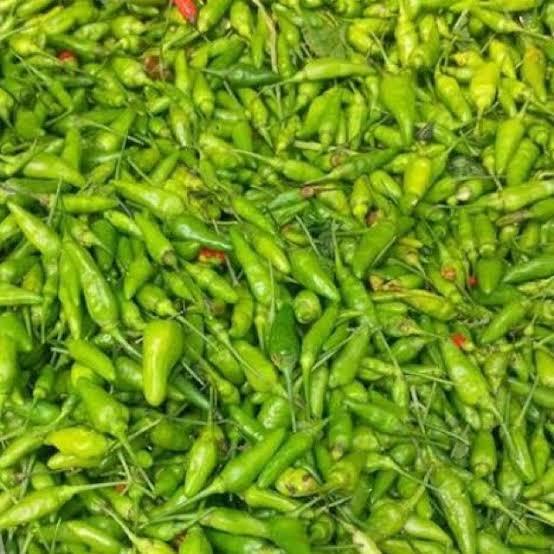 cabe rawit ijo 500 gr | Lazada Indonesia