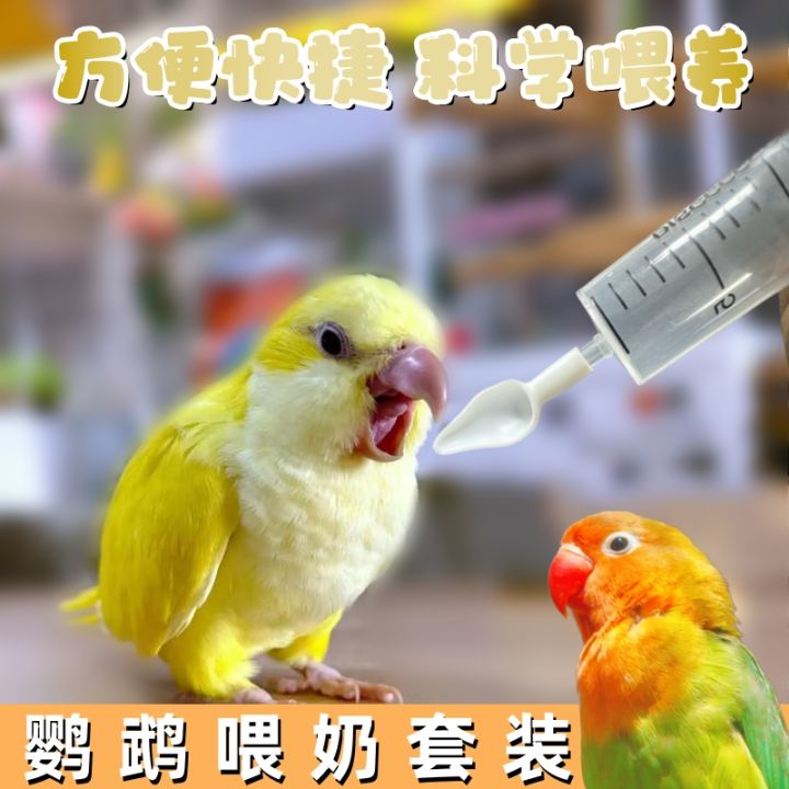 Parrot Feeder Spoon Dedicated Milk Feeder Syringe Medicine Tube Milk ...