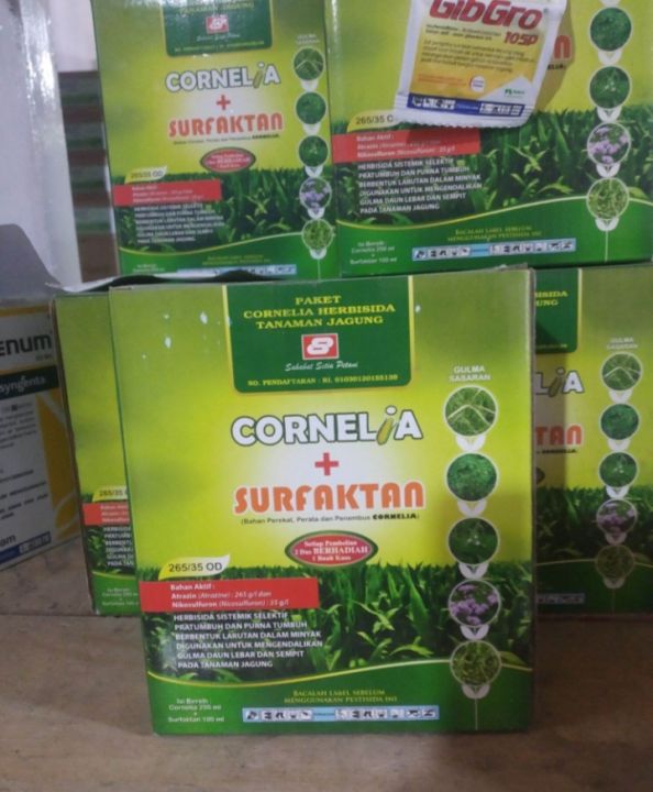 CORNELIA+SURFAKTAN 500ml herbisida Selektif pada tanaman jagung ...