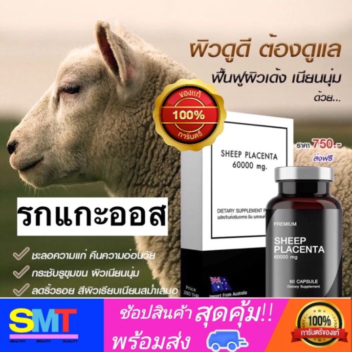 รกแกะ รกแกะนำเข้าจากออสเตรเลีย ของแท้ SHEEP PLACENTA 60000mg. รกแกะSMT ...