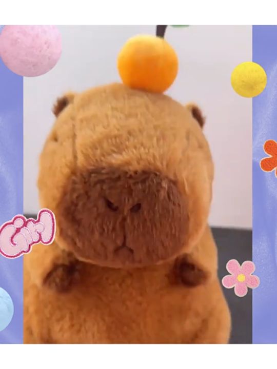 Deere Jack Capybara กะปิบาลา กระเป๋าโรเรียน กระเป๋าเด็กอนุบาลชาย ...