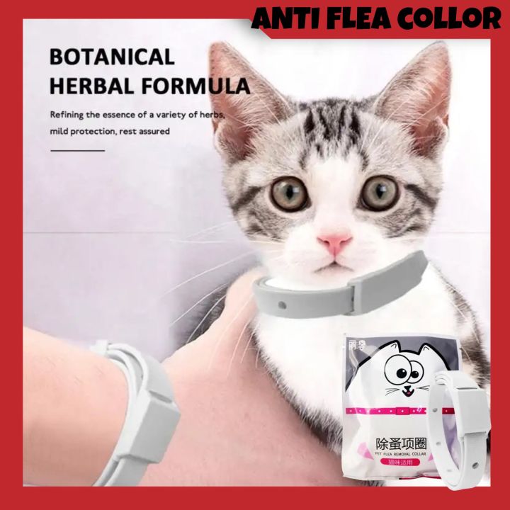 Anti Flea Tick Kutu Mite Cat Kucing Protection Collar Adjustable | Lazada