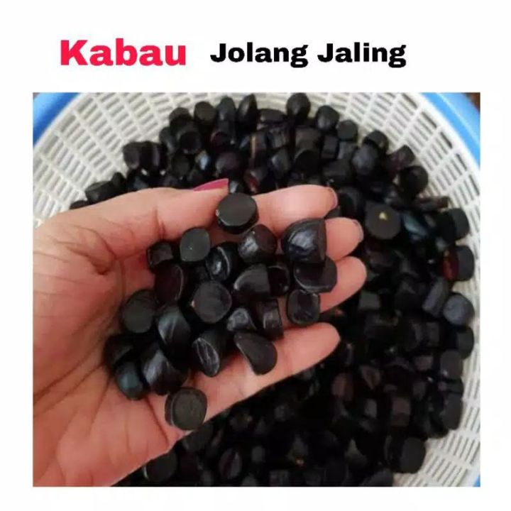 1 kg kabau jolang jaling mirip petai pete jengkol sumatera | Lazada ...