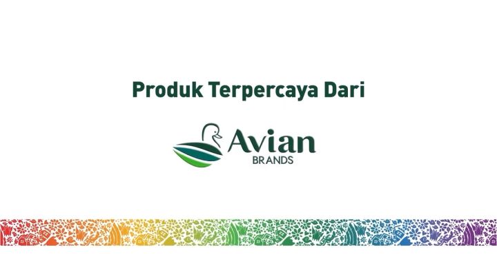 PRO PAINT Avian BOYO Politur Vernis Spray 400 cc | Lazada Indonesia