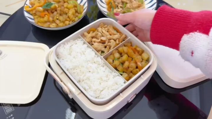 1L Electric Lunch Box Portable Rice Cooker Heating Bento Box Food ...