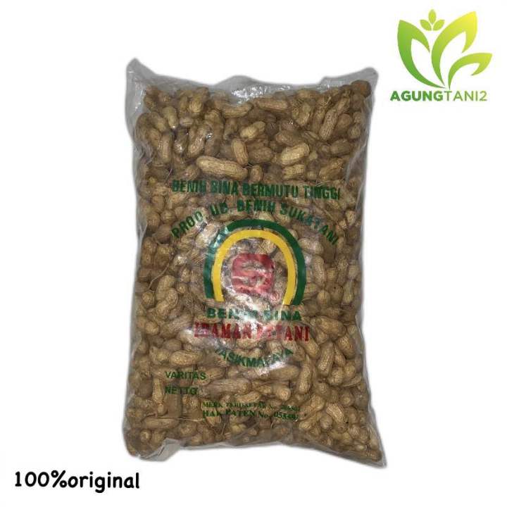 BENIH SUUK / KACANG TANAH 1KG | Lazada Indonesia