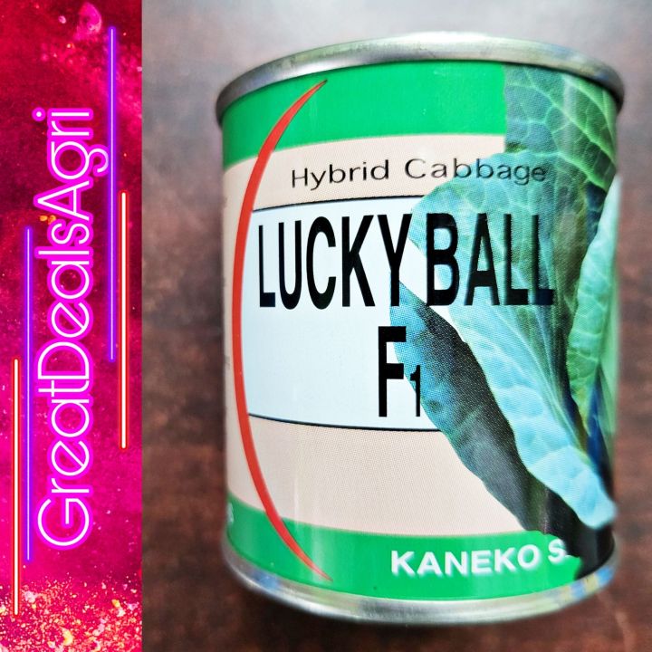 LUCKY BALL F1 HYBRID CABBAGE SEEDS (50 GRAMS) KANEKO SEEDS | Lazada PH