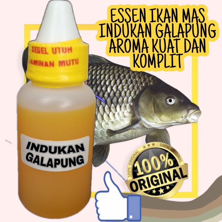 Essen Ikan mas Indukan Dan Ikan Rame Ampuh Di Segala Cuaca | Lazada ...