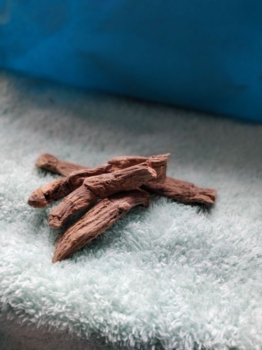 vasambu stick/வசம்பு குச்சி | Lazada