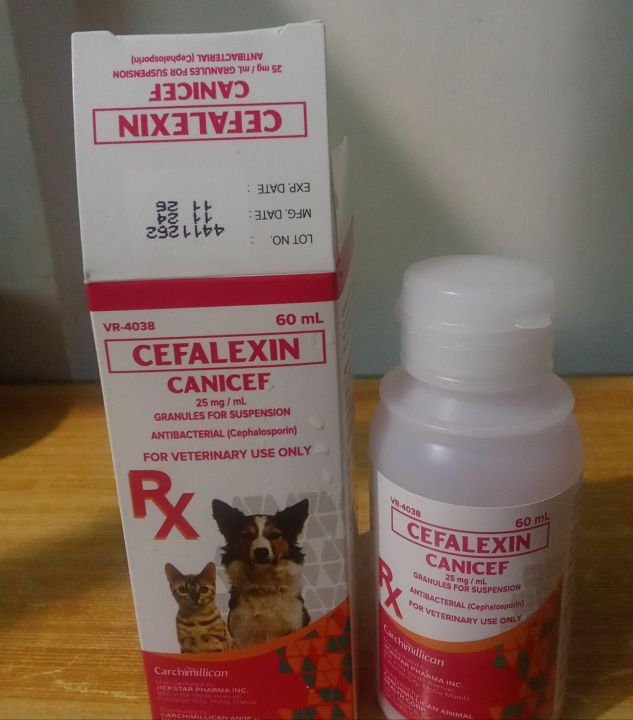 Cefalexin 60mL | Lazada PH