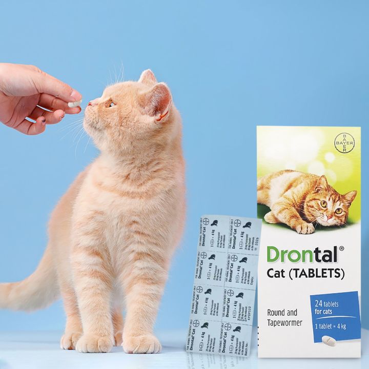Internal Anthelmintic Tablets Internal Nematode Anthelmintics For Cats ...