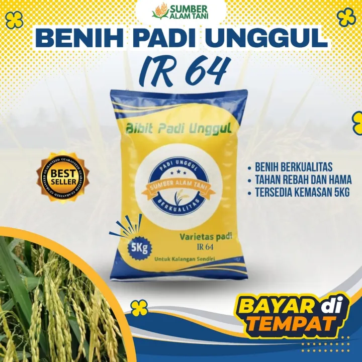 bibit padi IR 64 Super kemasan 5 kg | Lazada Indonesia
