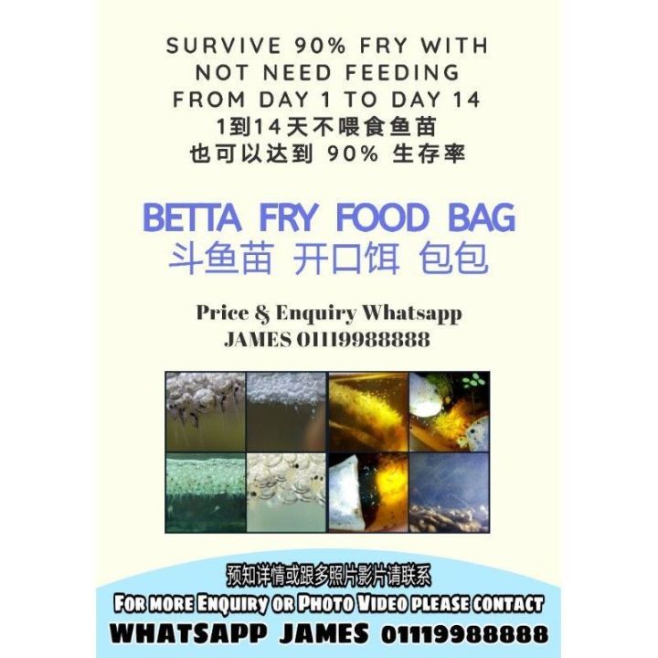 Betta Breeder Magic Bag, Fries open mouth Food, Infusoria, Paramecium ...