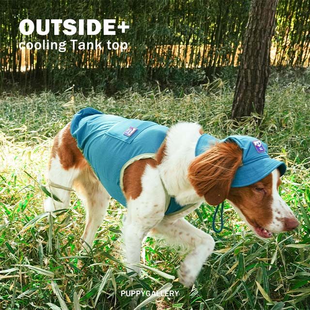 Puppy Gallery Cooling Tank เสื้อTank สำหรับสุนัขและแมว ใส่แล้วเย็น ...