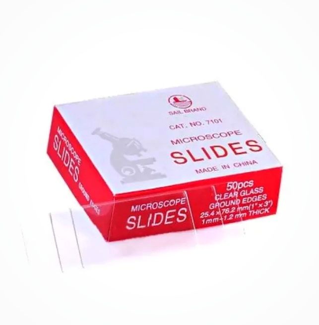Microscope Slide | Lazada PH
