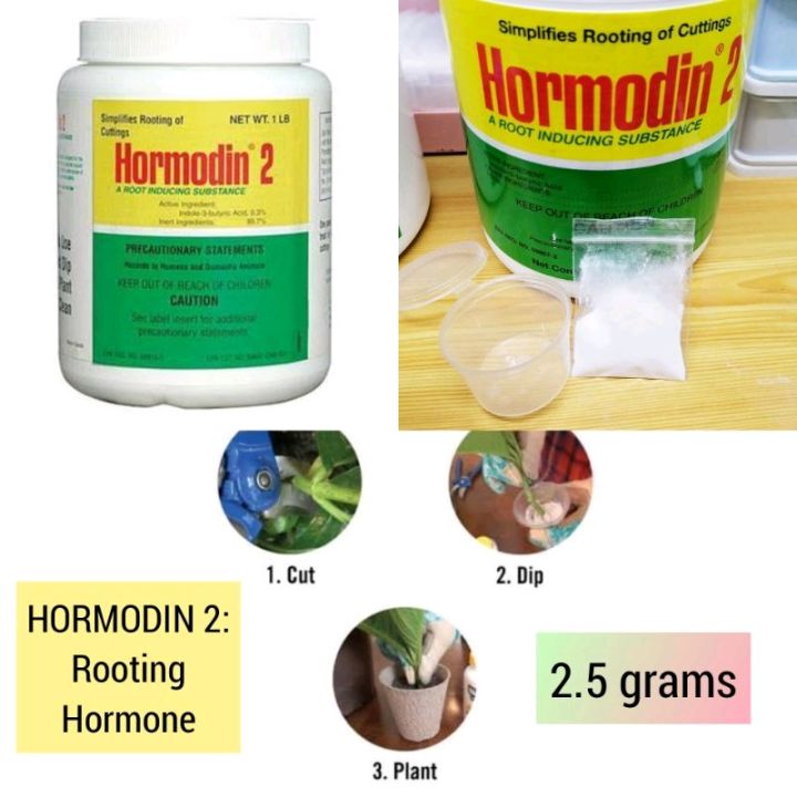 HORMODIN 2 (2.5 grams) ROOTING HORMONE | Lazada PH