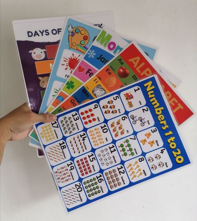 A4 Laminated Chart | Lazada PH