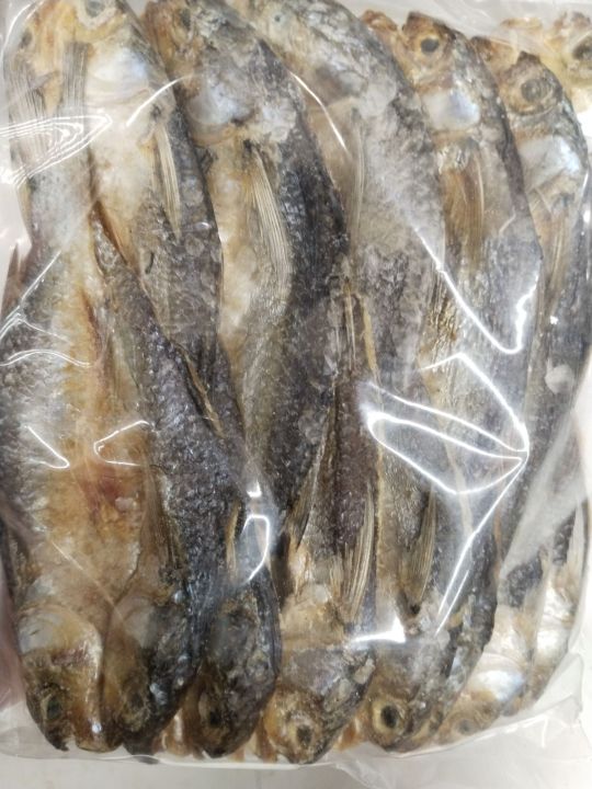 Dried Fish Kapak 200grams | Lazada PH