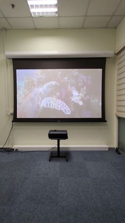 Projector Screen GRANDVIEW Legacy Series TAB Tension Motorized Screen ...