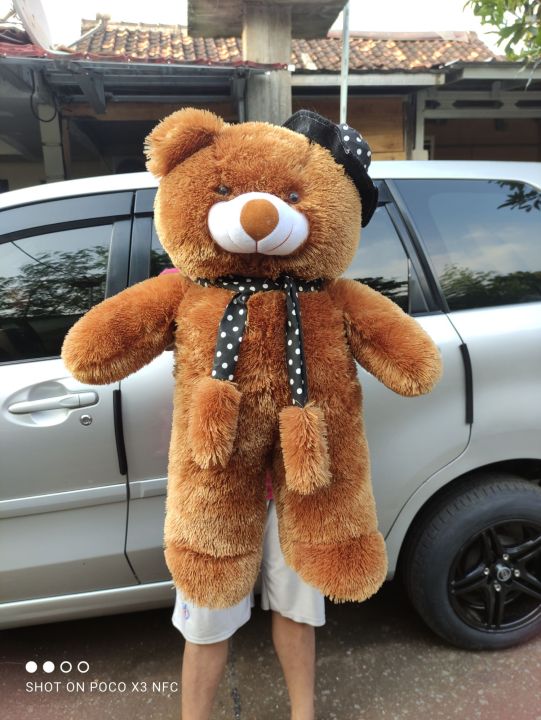 Boneka Teddy bear topi sale XL 70cm | Lazada Indonesia
