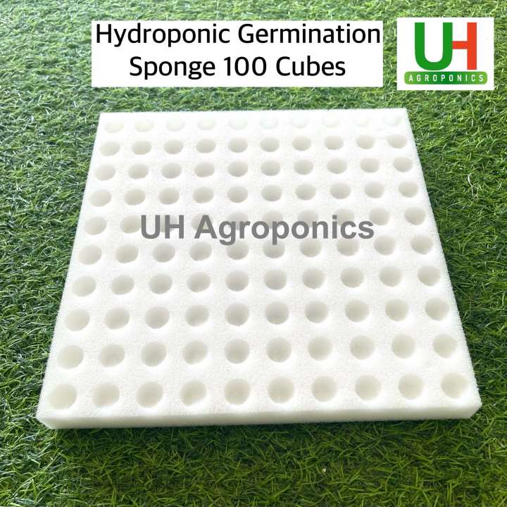 Hydroponic Germination Sponge 100 Cubes with holes for Seedling ...