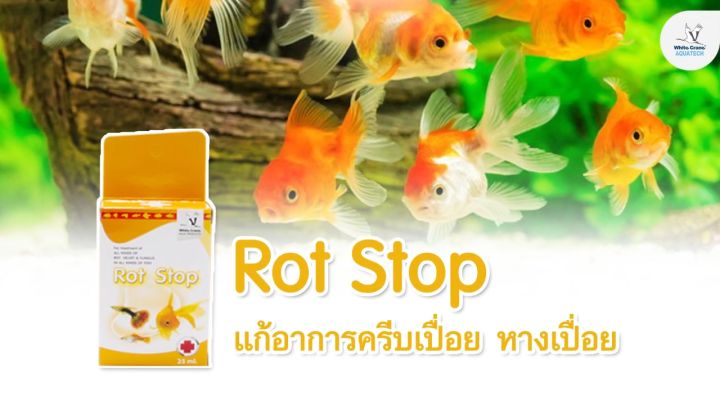 Rot Stop ร๊อตสตอป ผลิตภัณฑ์ใช้ควบคุมปรสิตภายนอกและป้องกันอาการที่เกิด ...