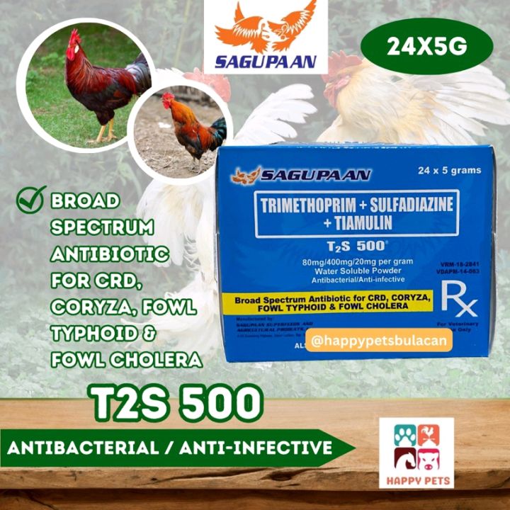 T2S 500 5g X 24 sachets PER BOX | Lazada PH