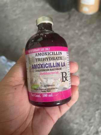 AMOX 10% 100ML FOR ANIMALS | Lazada PH
