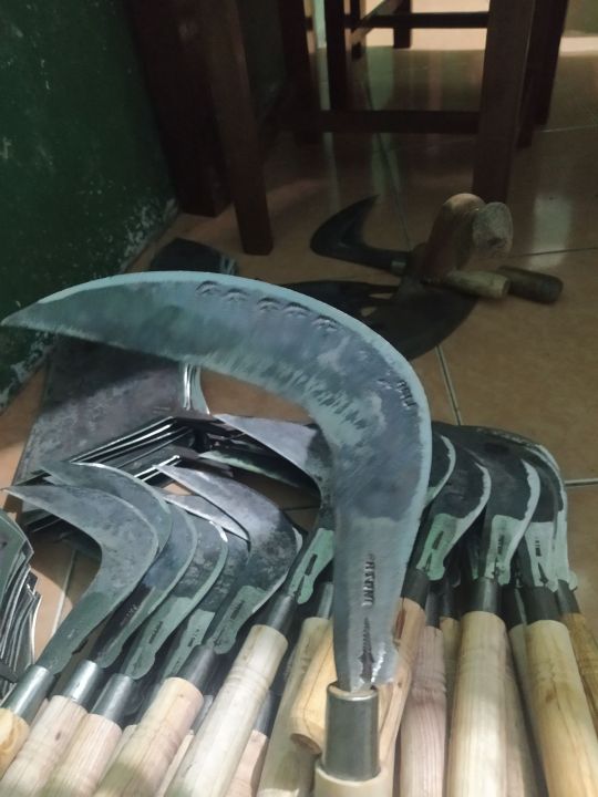 arit padi/sabit rumput/sabit multi fungi | Lazada Indonesia