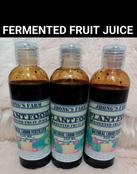 FERMENTED FRUIT JUICE 250ML | Lazada PH