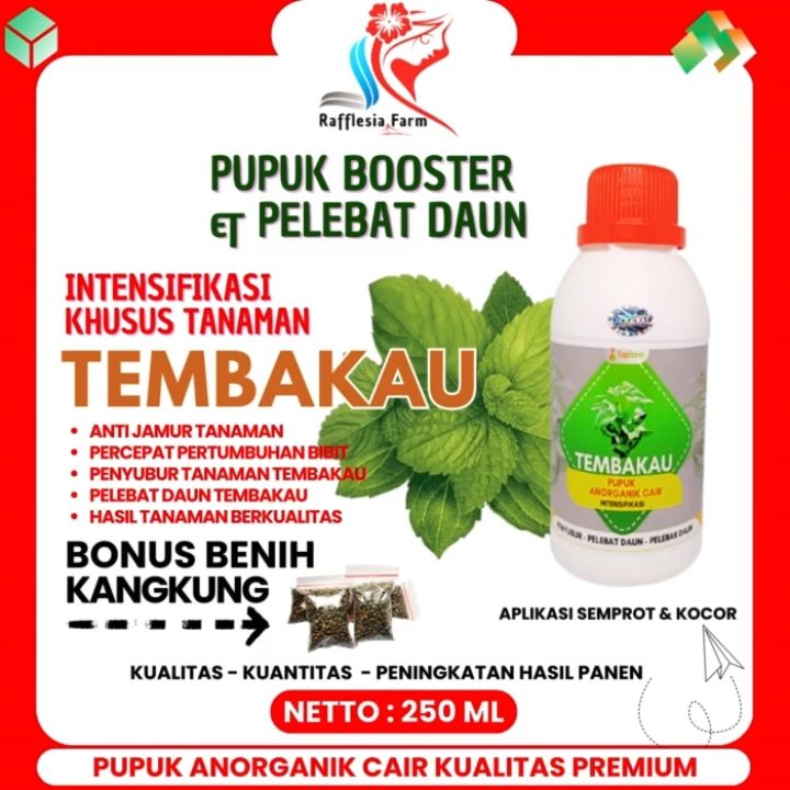 Pupuk Daun Mbako Terbaik / Pupuk Daun Mbako Baru Tanam / Pupuk Buat ...