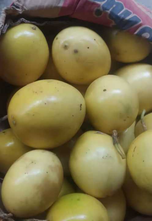 buah markisa kuning segar | Lazada Indonesia