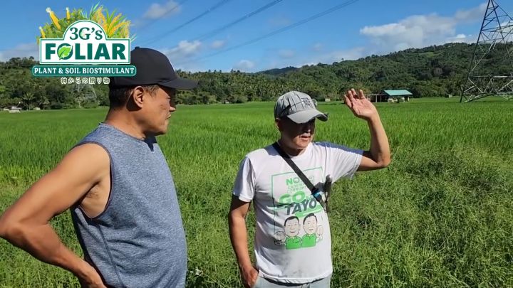 3Gs FOLIAR – SOIL AND PLANT BIOSTIMULANT ALL IN ONE SUPER FOLIAR BIO ...