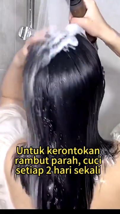 REMIMPI Shampo Anti Hair Fall Penumbuh Rambut Perawatan Intensif untuk ...