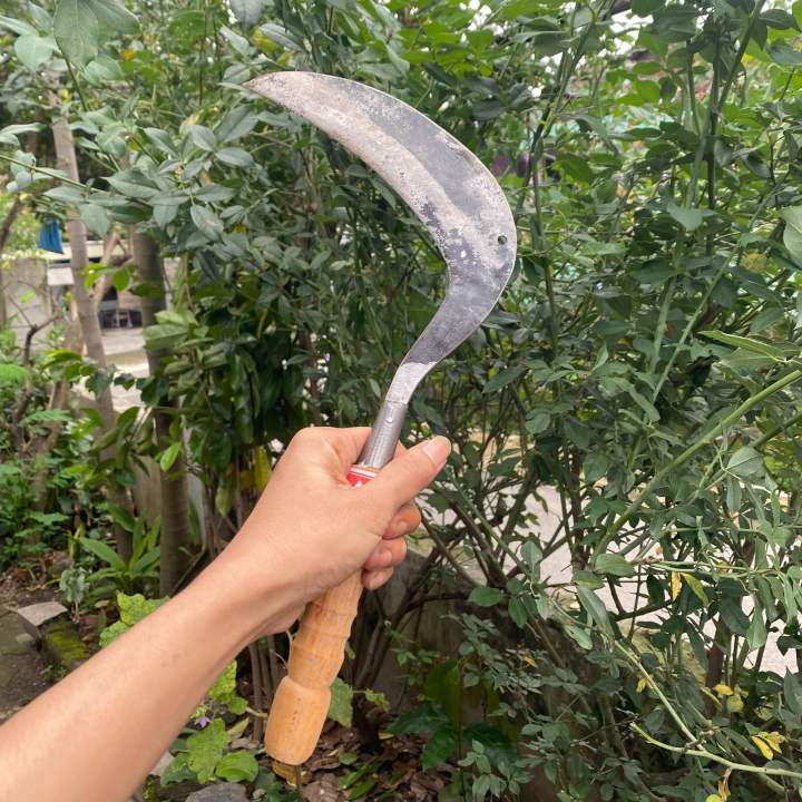 Arit rumput sabit khusus rumput plat baja | Lazada Indonesia