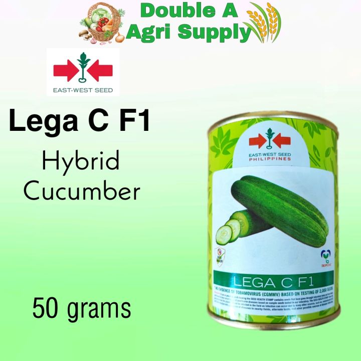 Lega C F1 Hybrid Cucumber - East West Seed | Lazada PH