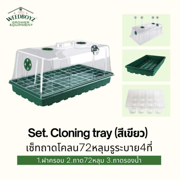 Set Cloning tray 72หลุม ถาดโคลนสีเขียว ถาดเพาะเมล็ด ถาดหลุม ถาดปักชำ ...