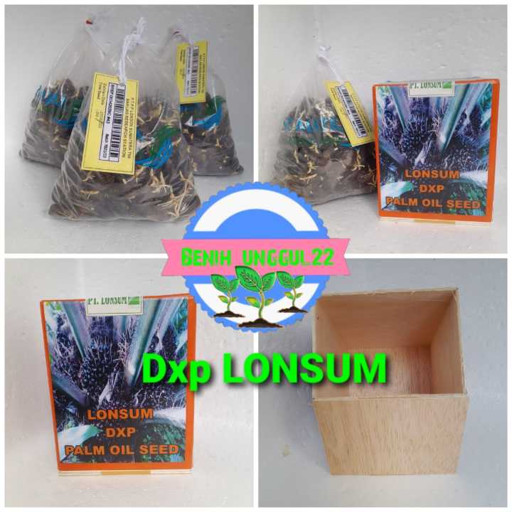 LONSUM - Bibit unggul kecambah polong kelapa sawit ( Varietas ) LONSUM ...
